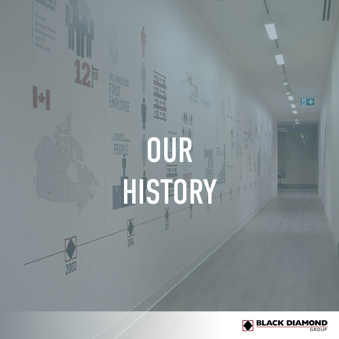 Black Diamond Group History