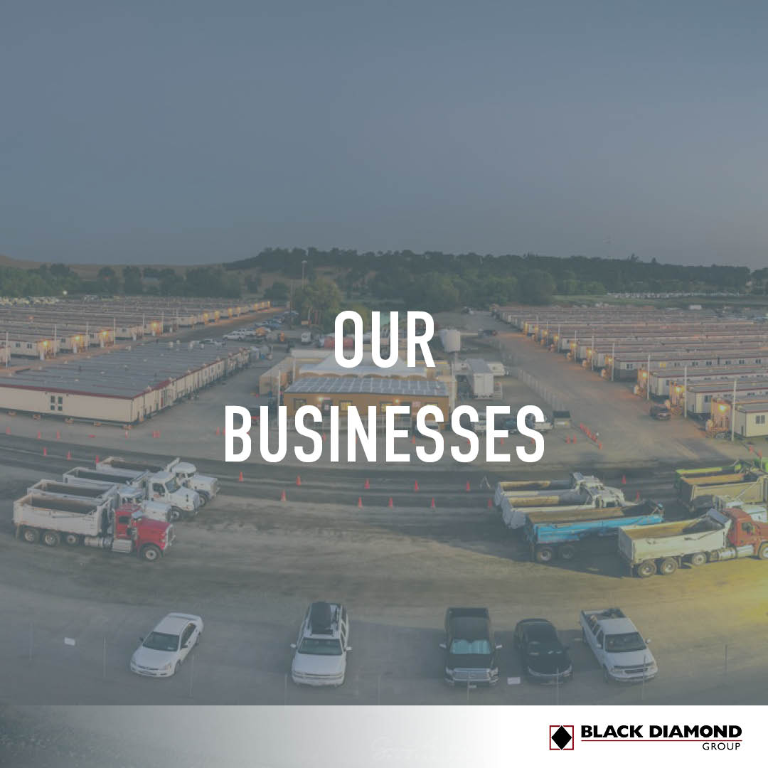 Black Diamond Group Businesses