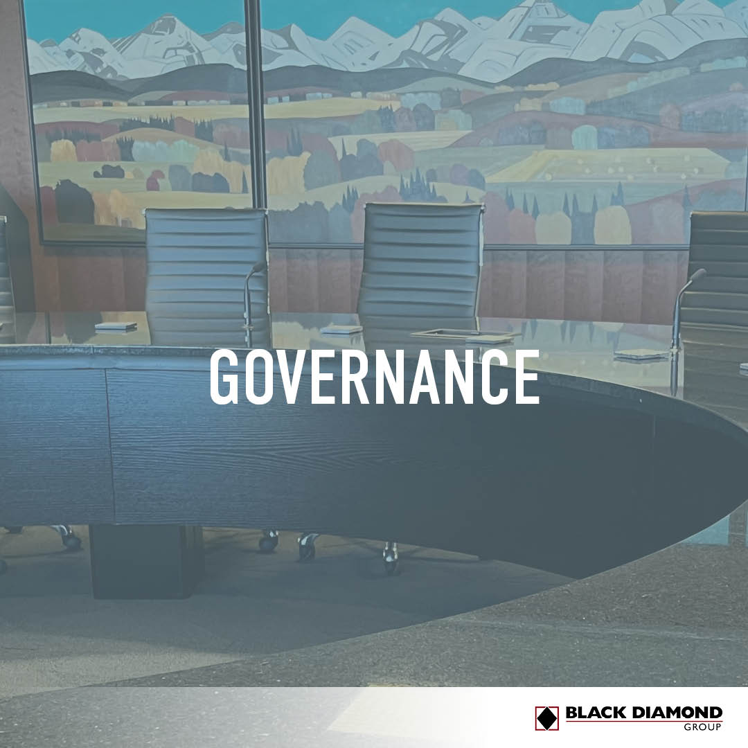 Black Diamond Group Governance